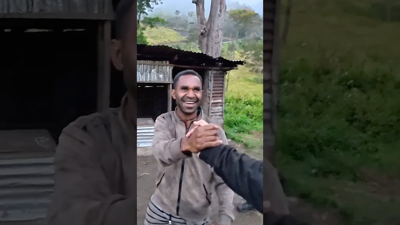 I traveled to find the cutest pigs