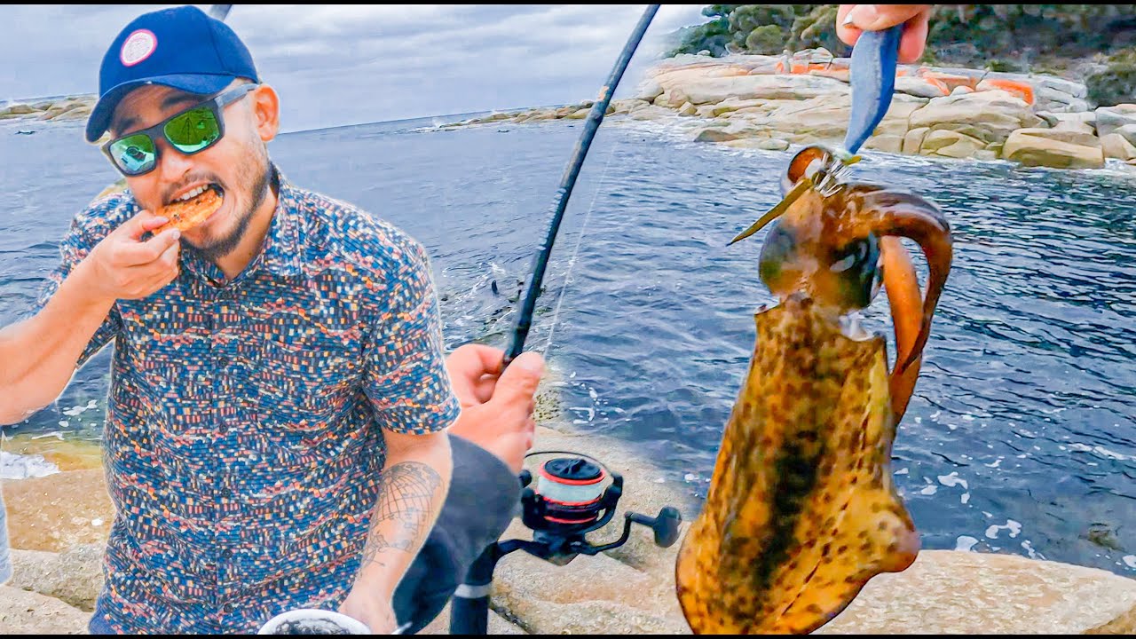 This squid gave me a life lesson | Tasmania