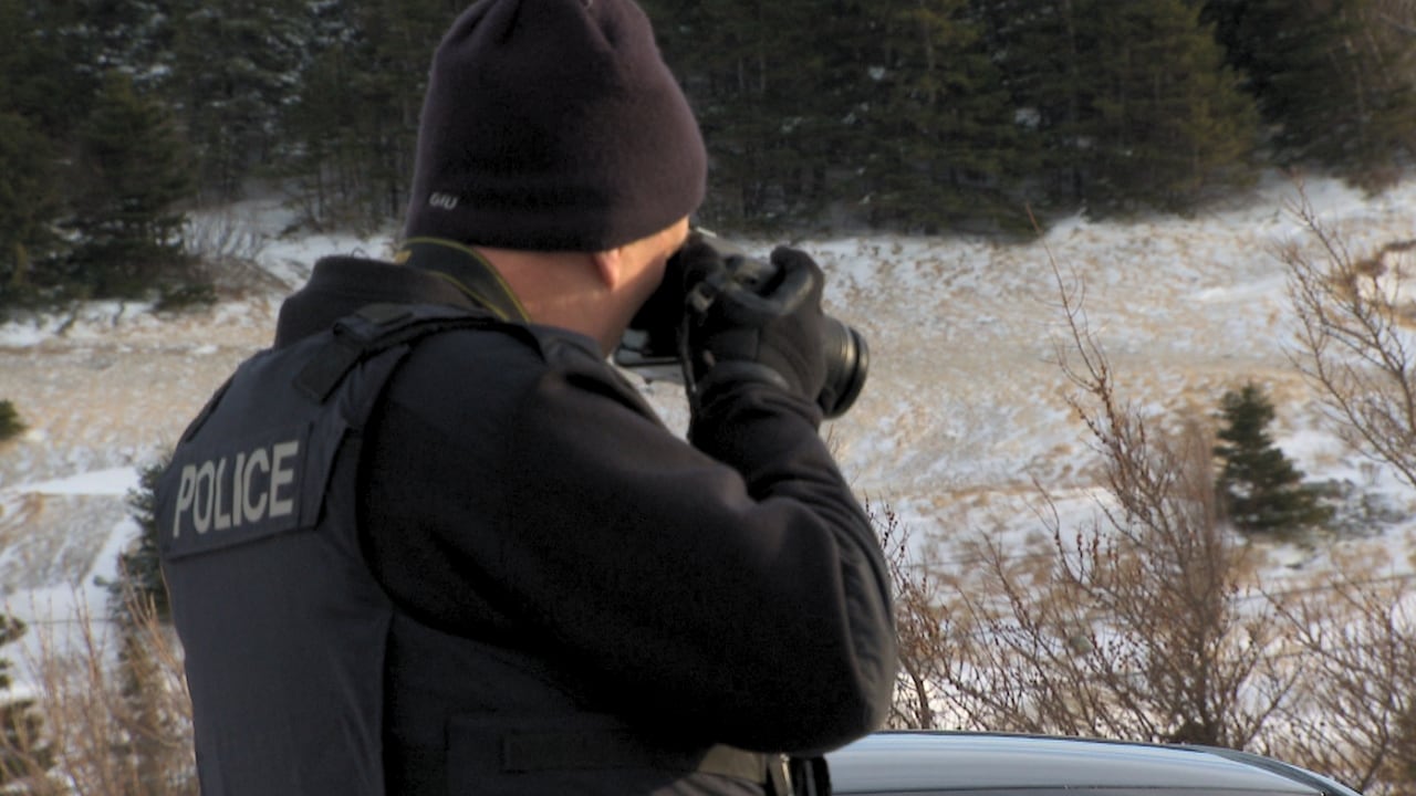 Police shoot and kill two dogs that attacked people in Pouch Cove