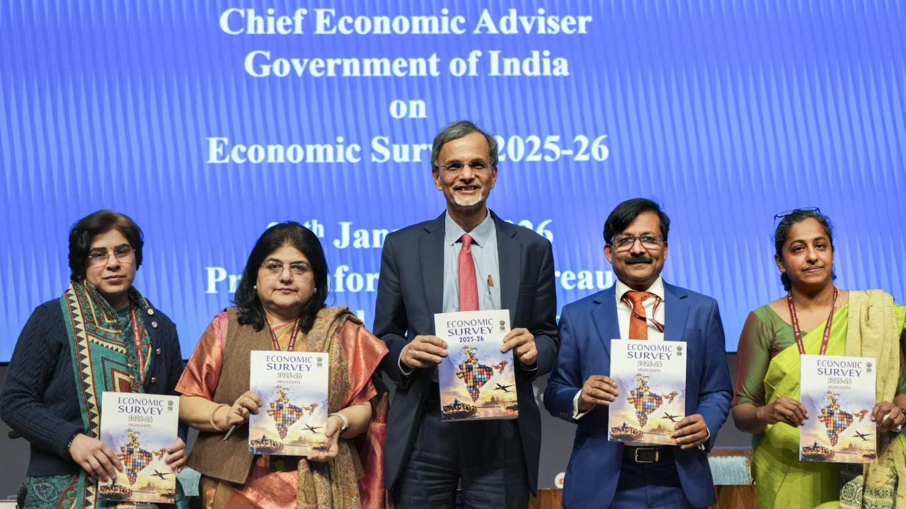 Economic survey warns of cost, grid as key challenges for renewable energy