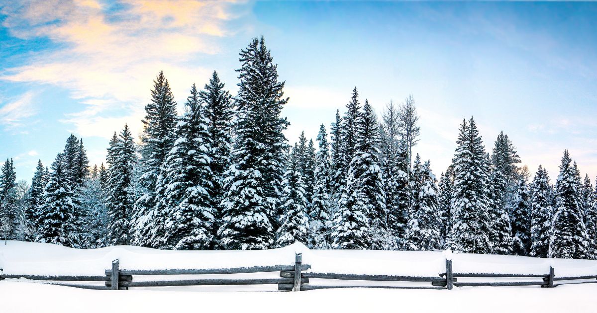 The 11 US states with the harshest, snowiest winters