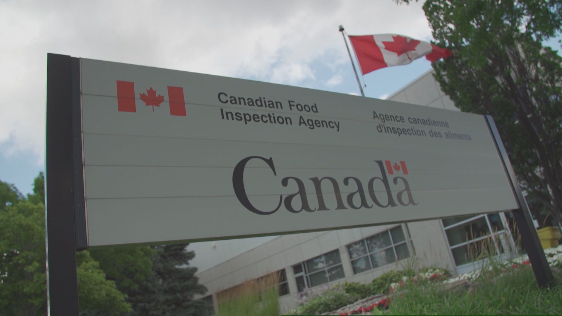 Health matters: Canadian Food Inspection Agency set to cut 1,300 jobs