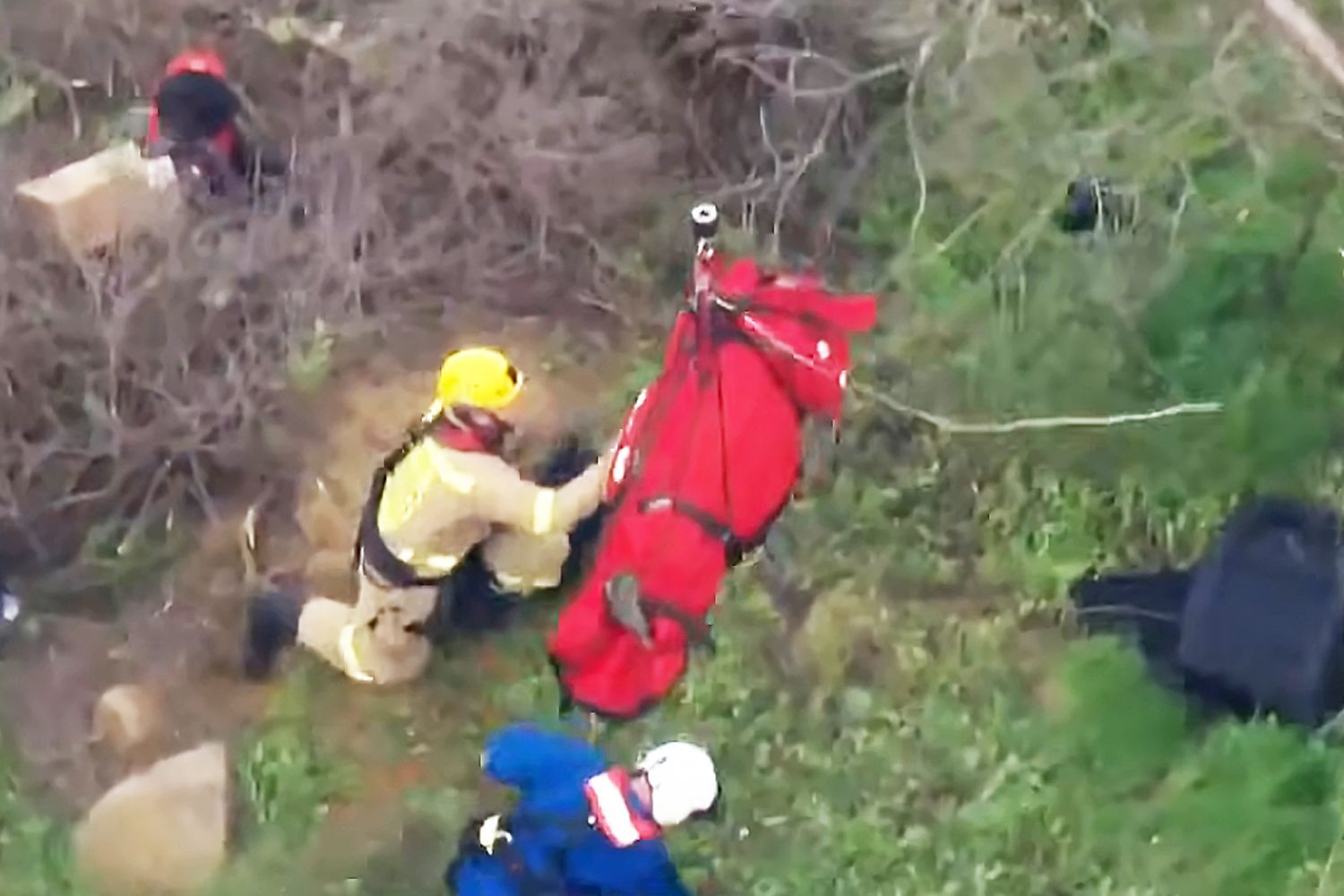 30-year-old woman survives after car plummets 150 feet over a cliff ...