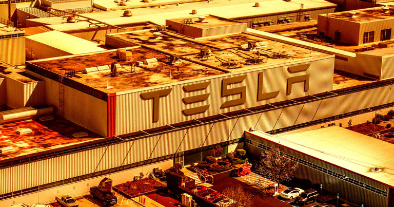 Elon Musk shutting down Tesla car factory to manufacture robots instead