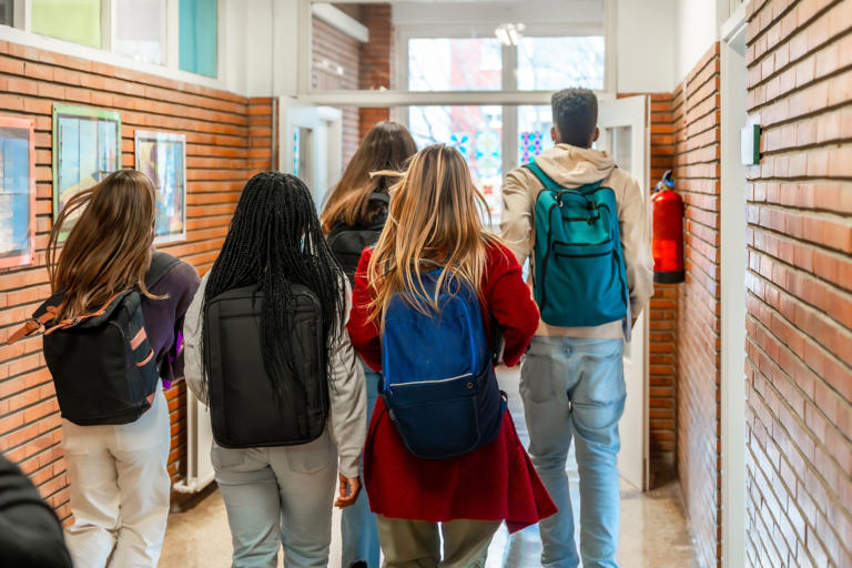 I'm a teacher - I've faced racist abuse from disruptive kids
