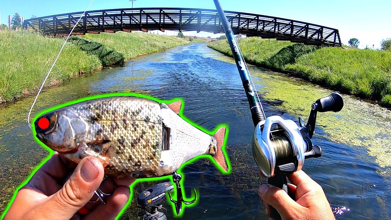 $250 Zombie bait gets destroyed at urban city pond