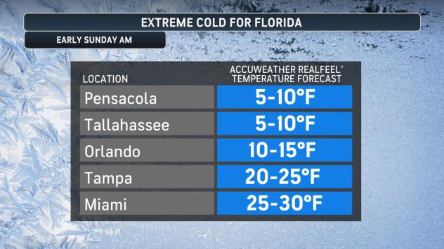Florida braces for coldest conditions in decades this weekend