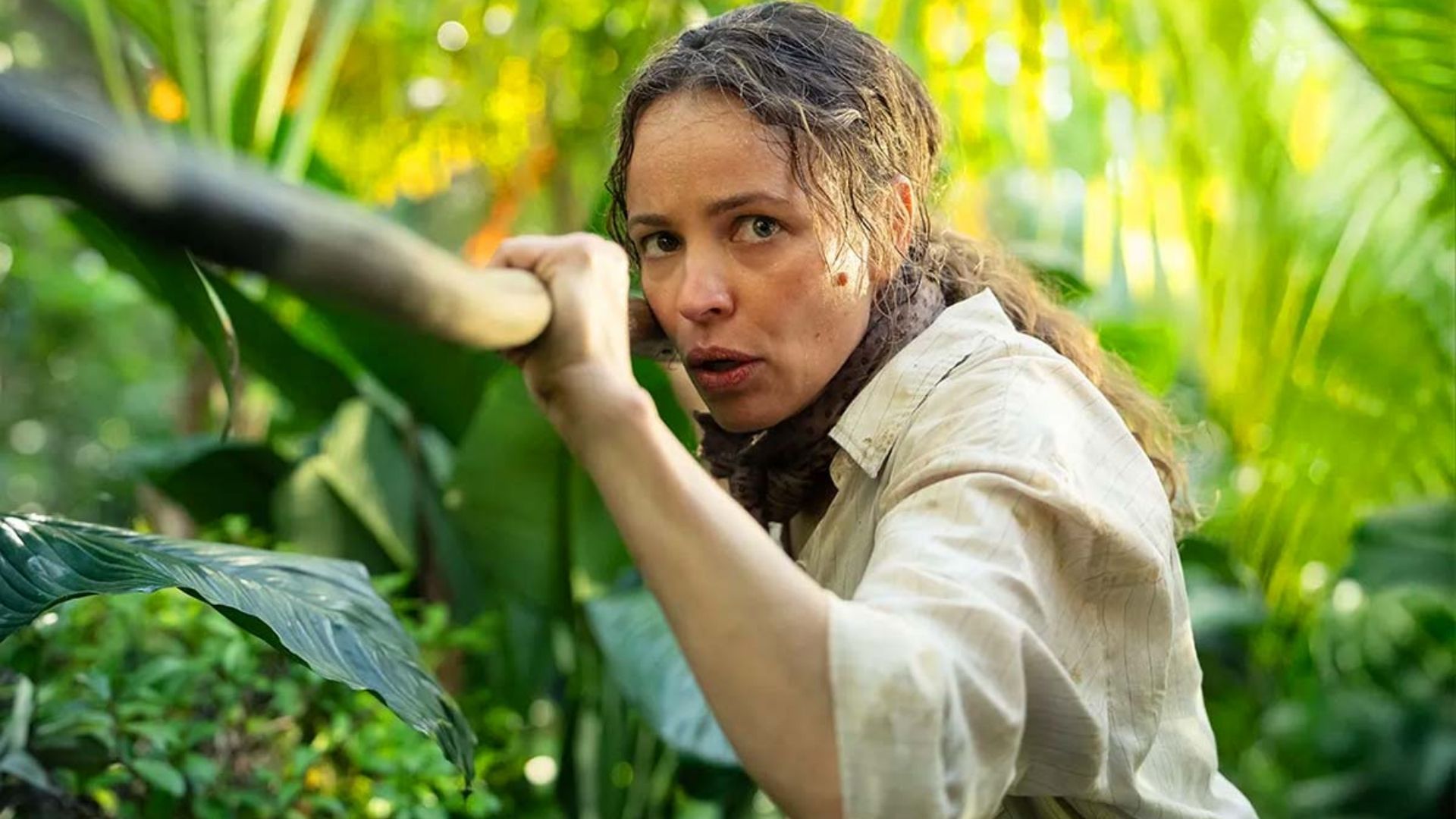 A recent surprise hit makes me think Sam Raimi's new horror thriller ...