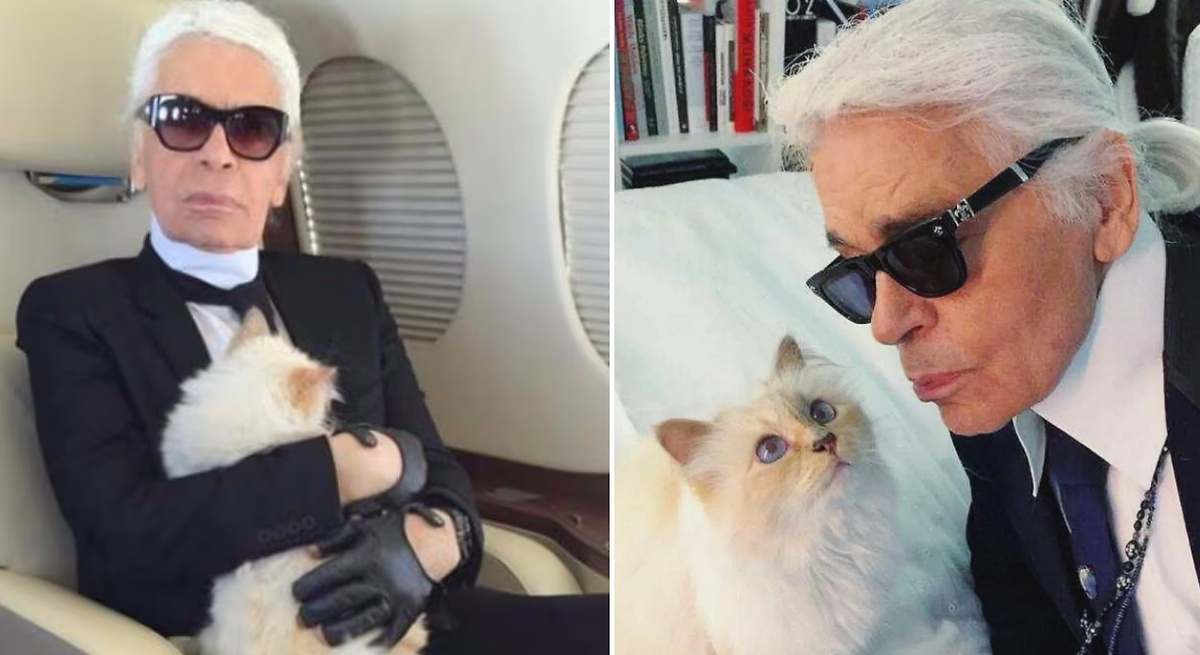 Choupette, la gata de Karl Lagerfeld, podría ser desheredada siete años ...