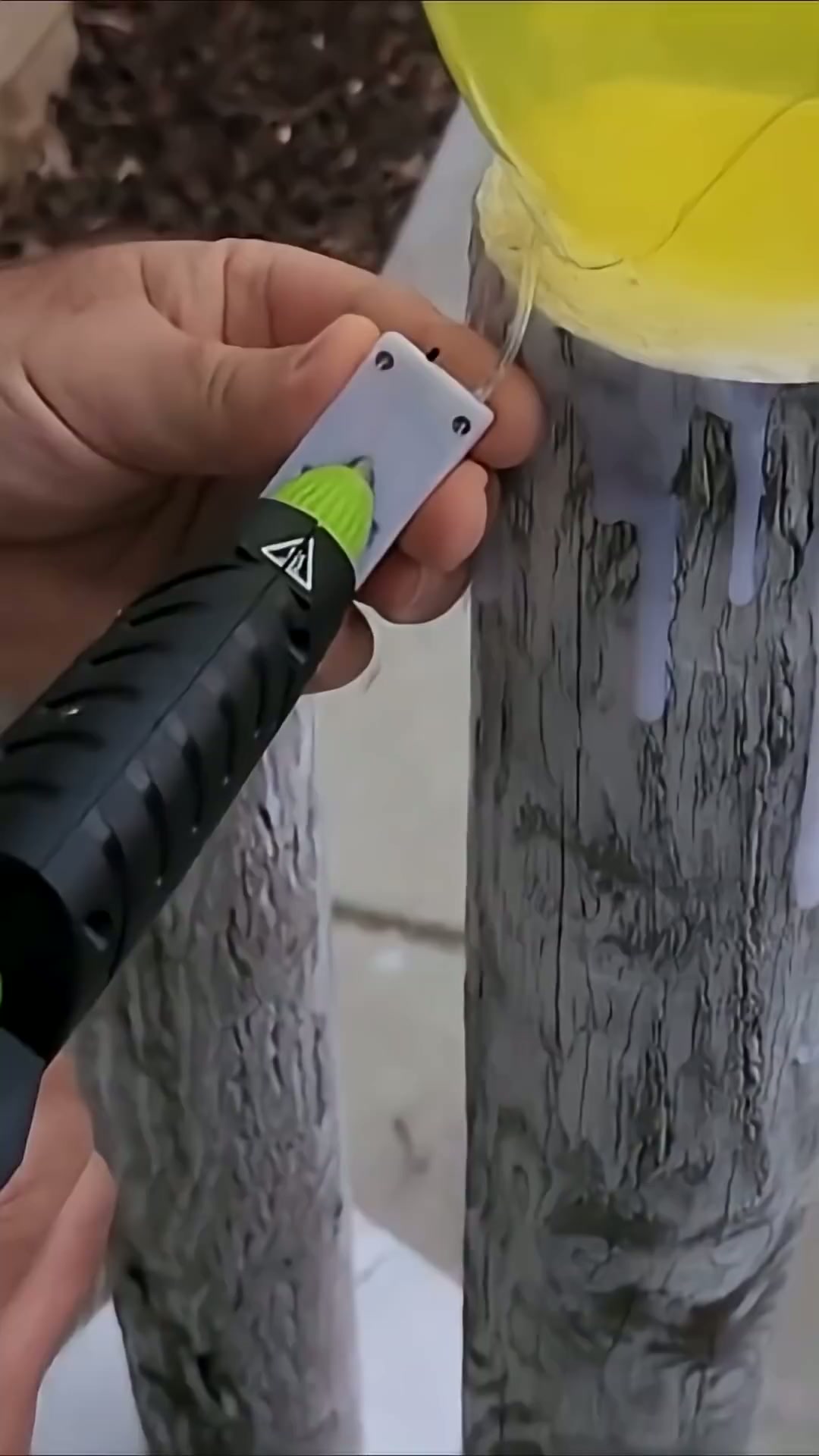 Light up your walkway for Christmas! 🤯