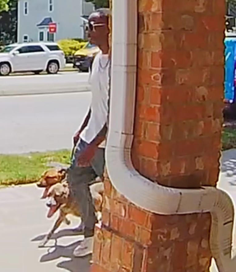Man accused of sexually assaulting, killing dogs in Atlanta parking ...