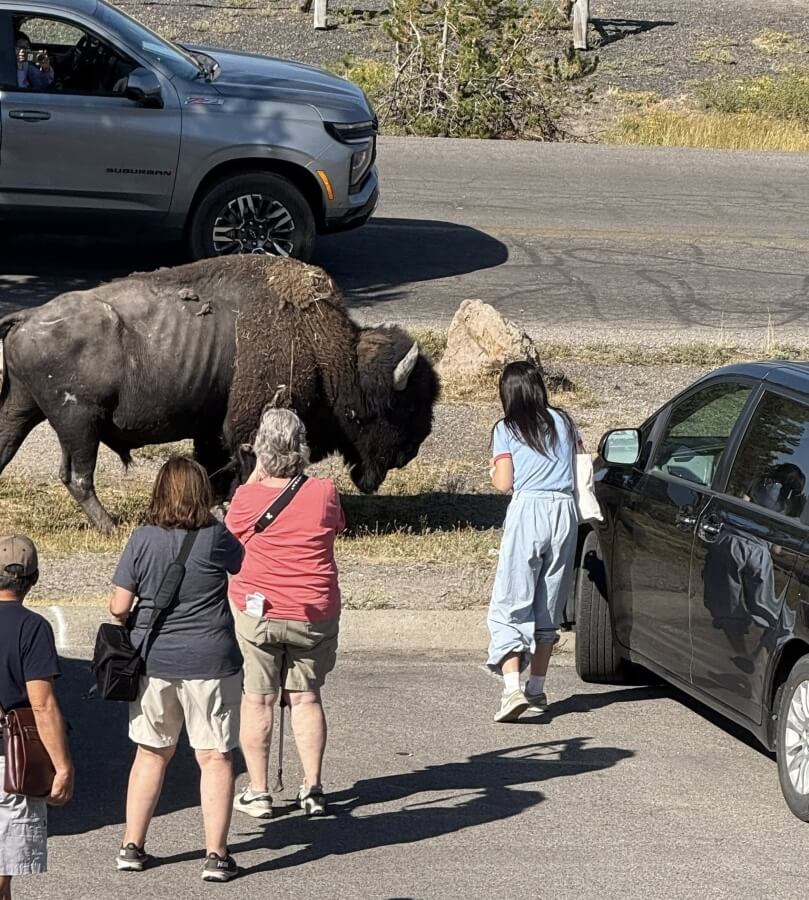 Onlooker sparks outrage with photo of tourists' reckless behavior near ...