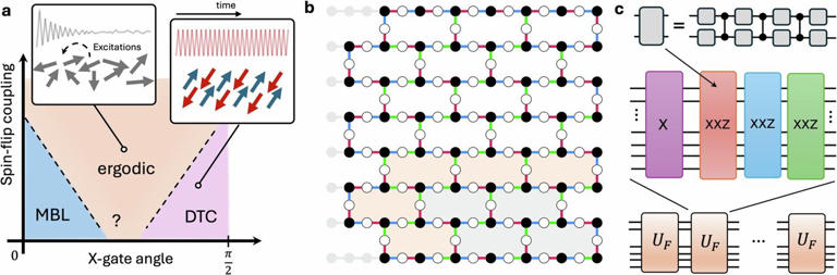 2D discrete time crystals realized on a quantum computer for the first time