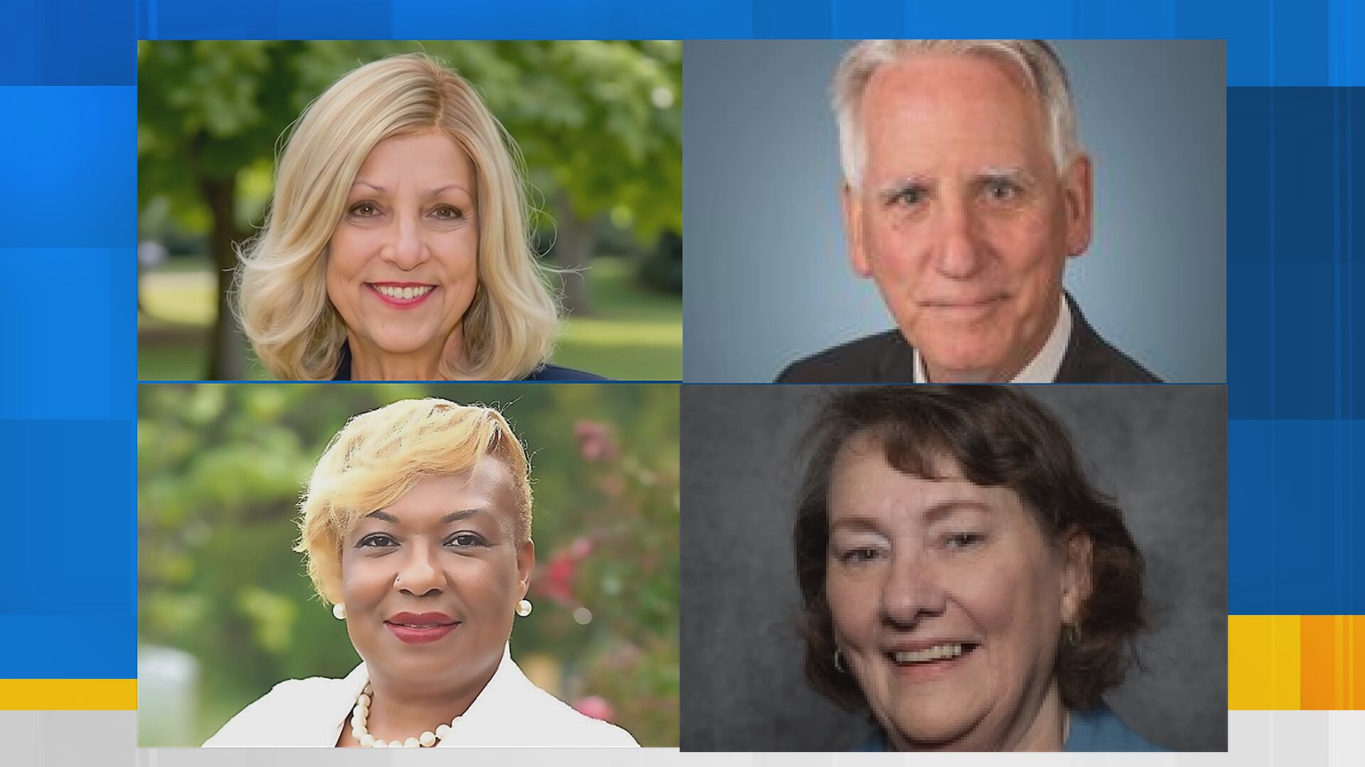 Candidate Q & A: Primary election for New Hanover County commissioner