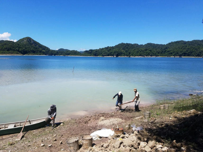 Aerial lidar mapping can reveal archaeological sites while overlooking ...