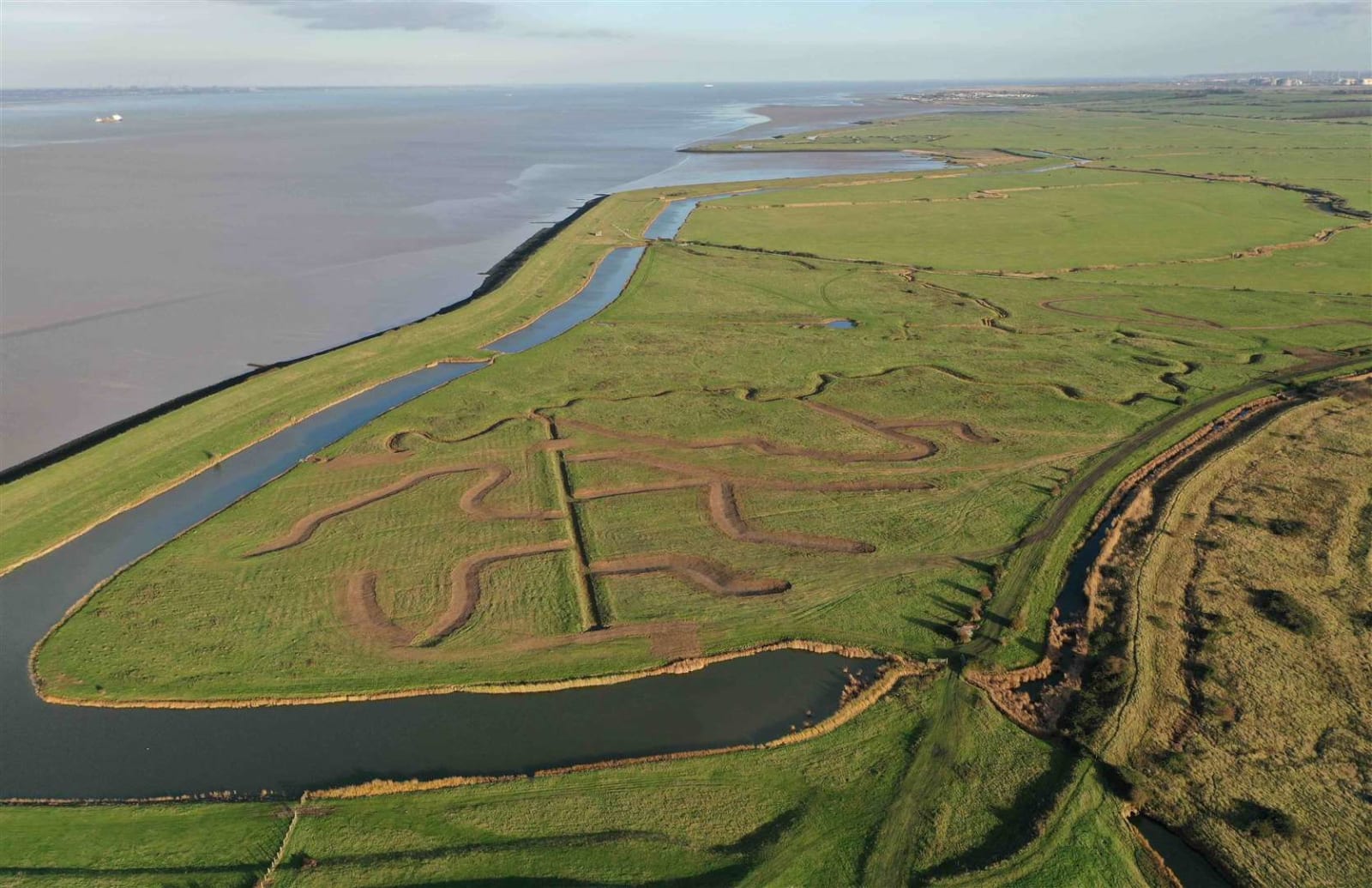 Major wetland restoration project to improve habitats for threatened ...