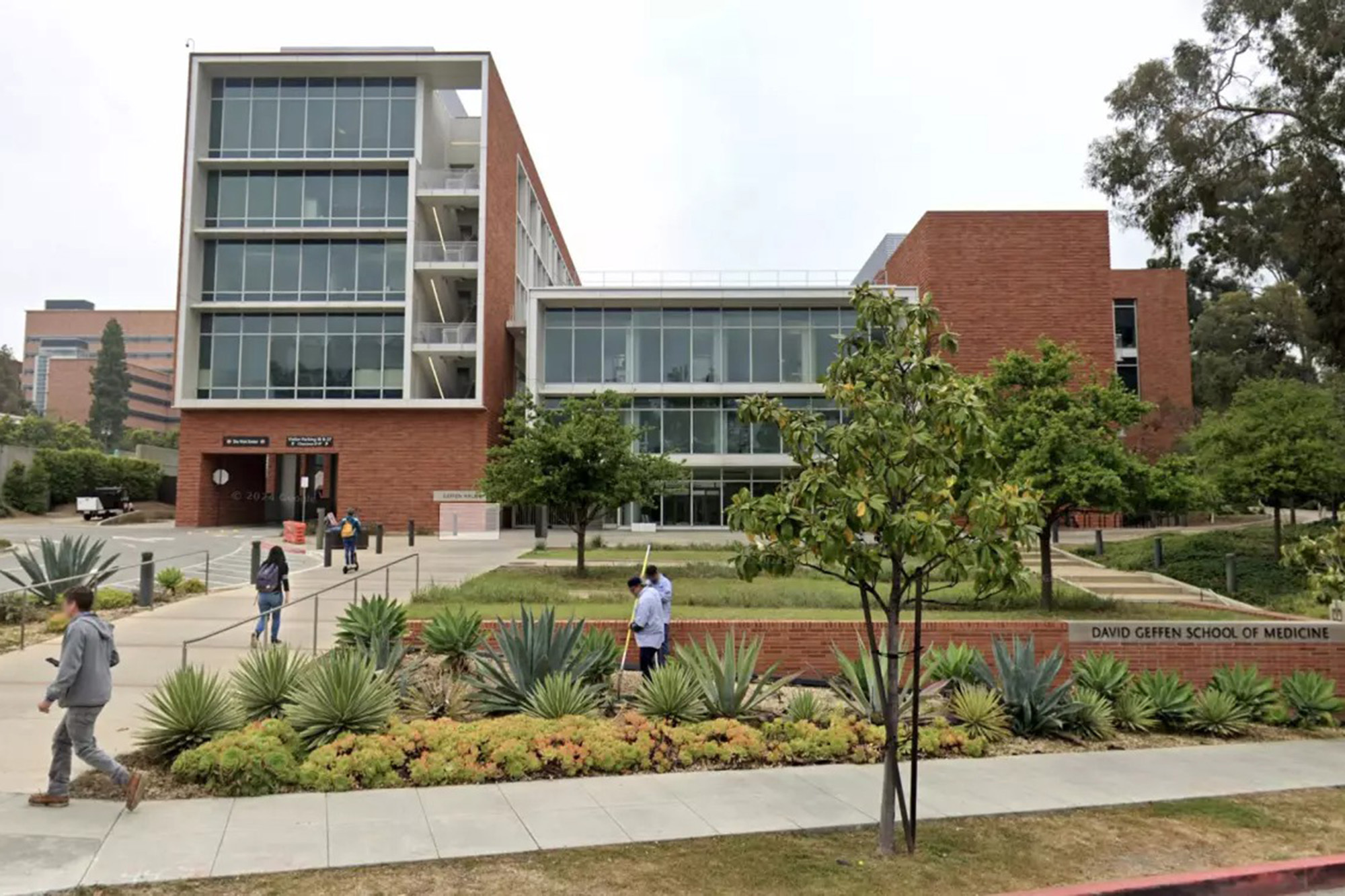 Trump admin joins lawsuit against UCLA medical school over 'racist ...