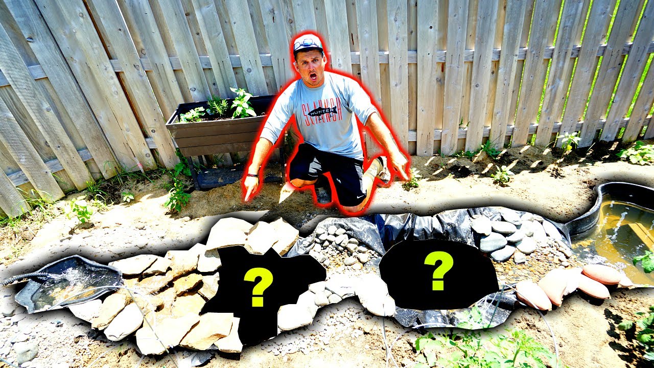 Two massive additions improve DIY home fish pond success