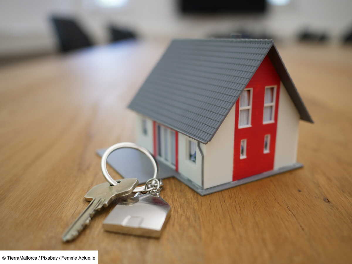 Maison à vendre et recherche appartement ou maison de retour sans ...