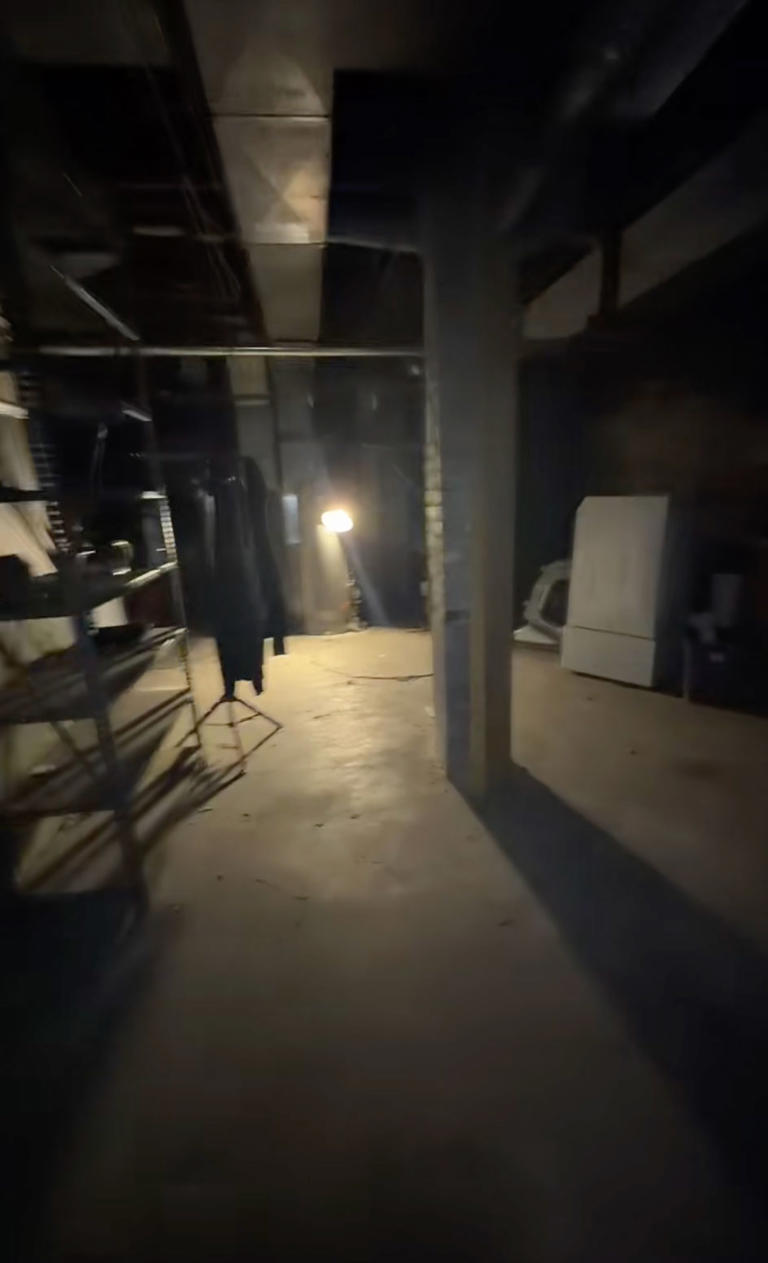 Spooked woman gives tour, bat in hand, of her ‘horror movie’ cellar ...