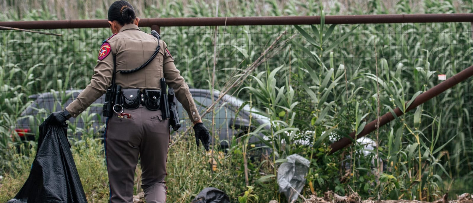 The untold story of illegal immigration’s consequences exposes ...