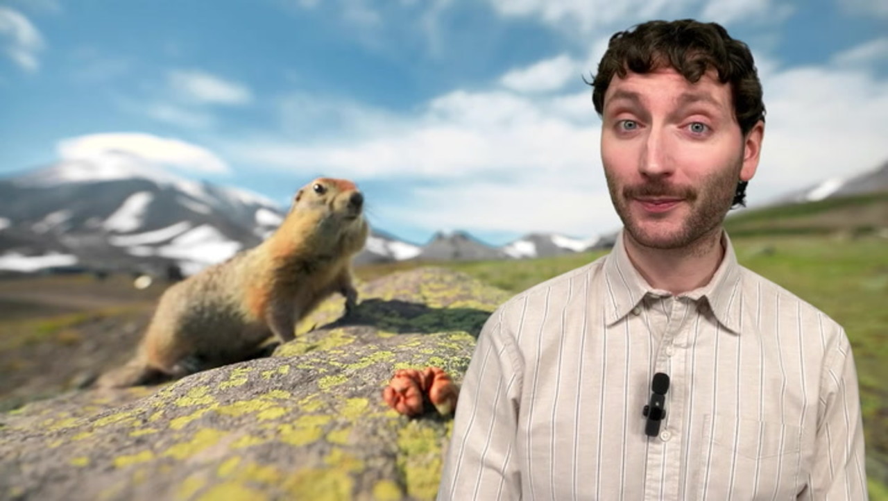 Le jour de la Marmotte : quand un nuage décide de la fin de l'hiver