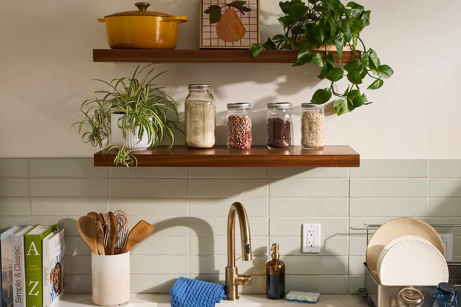 I tried an $18 fix for my gnat problem - here's what actually happened