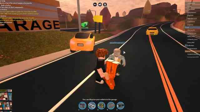 Noobs got Robux and instantly started flexing