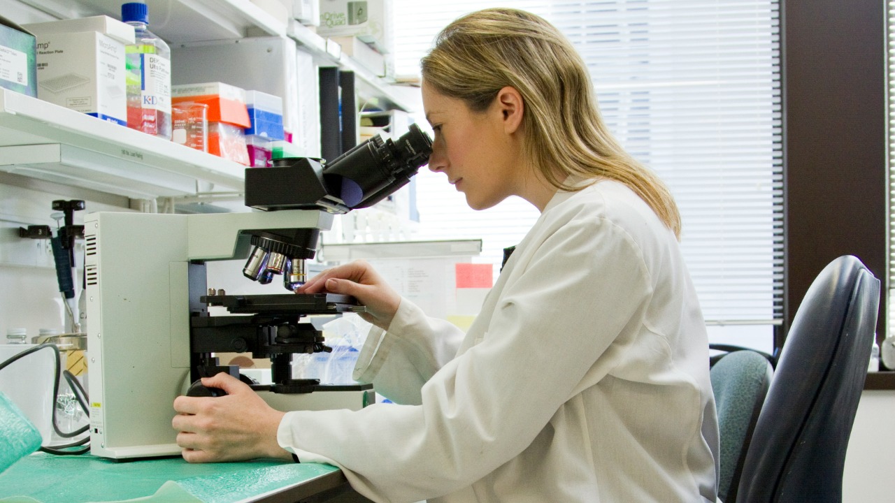 Scientists uncover what may be the 1st branch on the tree of life