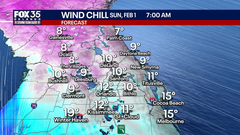 Florida freeze: Remember the 5 Ps to help you prepare for extreme cold