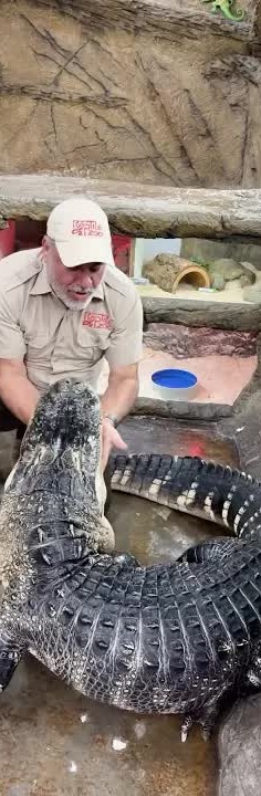 Darth is like my dog 🐕 he’s a big ol swamp puppy 🐊