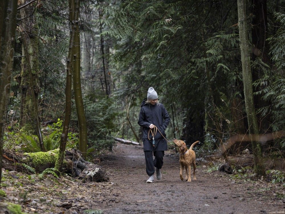 Fewer off-leash dog trails coming to Vancouver's Pacific Spirit ...