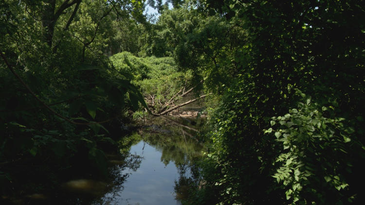 New community advisory group pushes for faster radioactive cleanup in ...