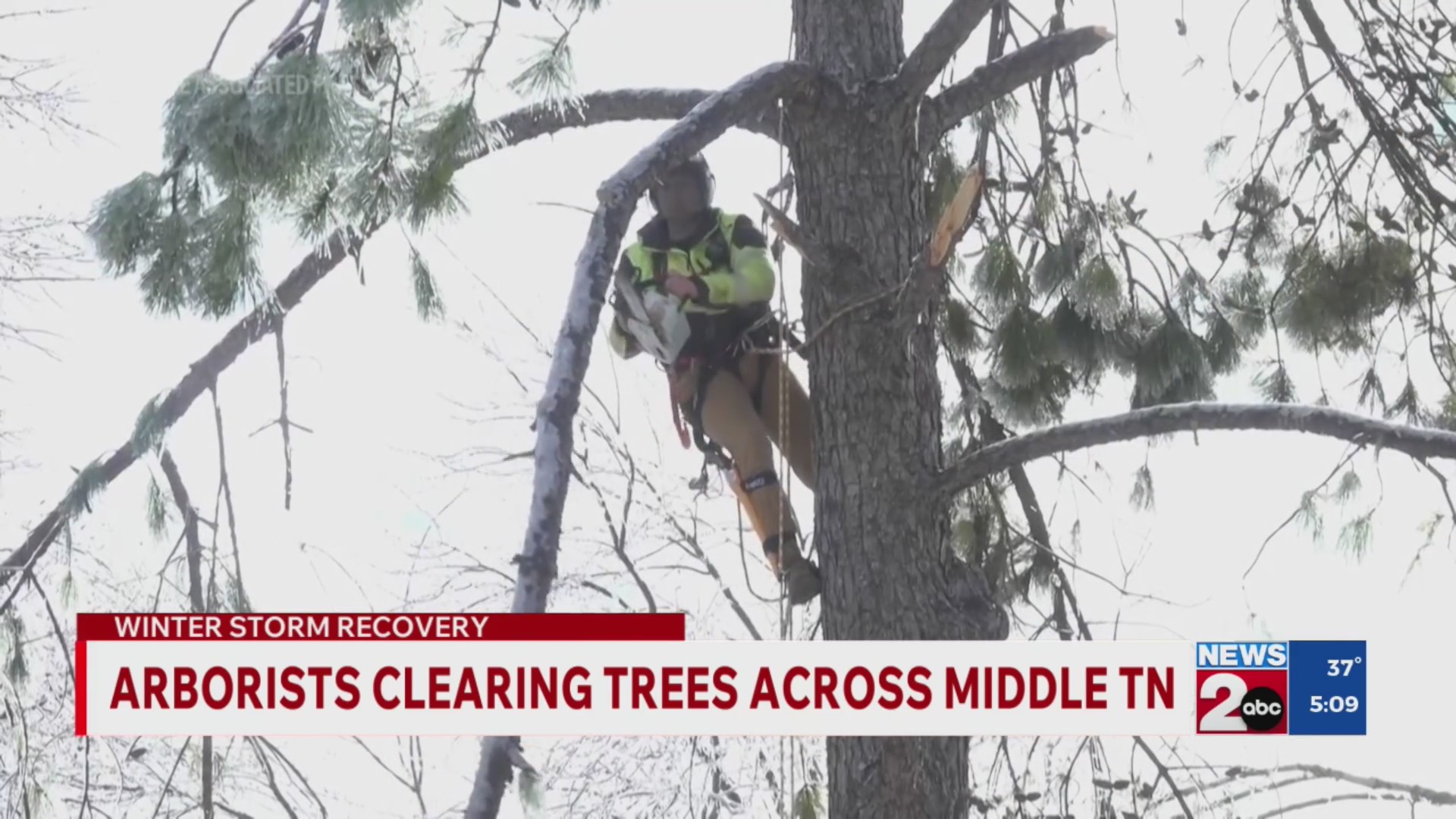 Arborists clearing trees across Middle Tennessee