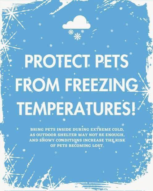 Craven County reminds residents to protect pets from extreme cold