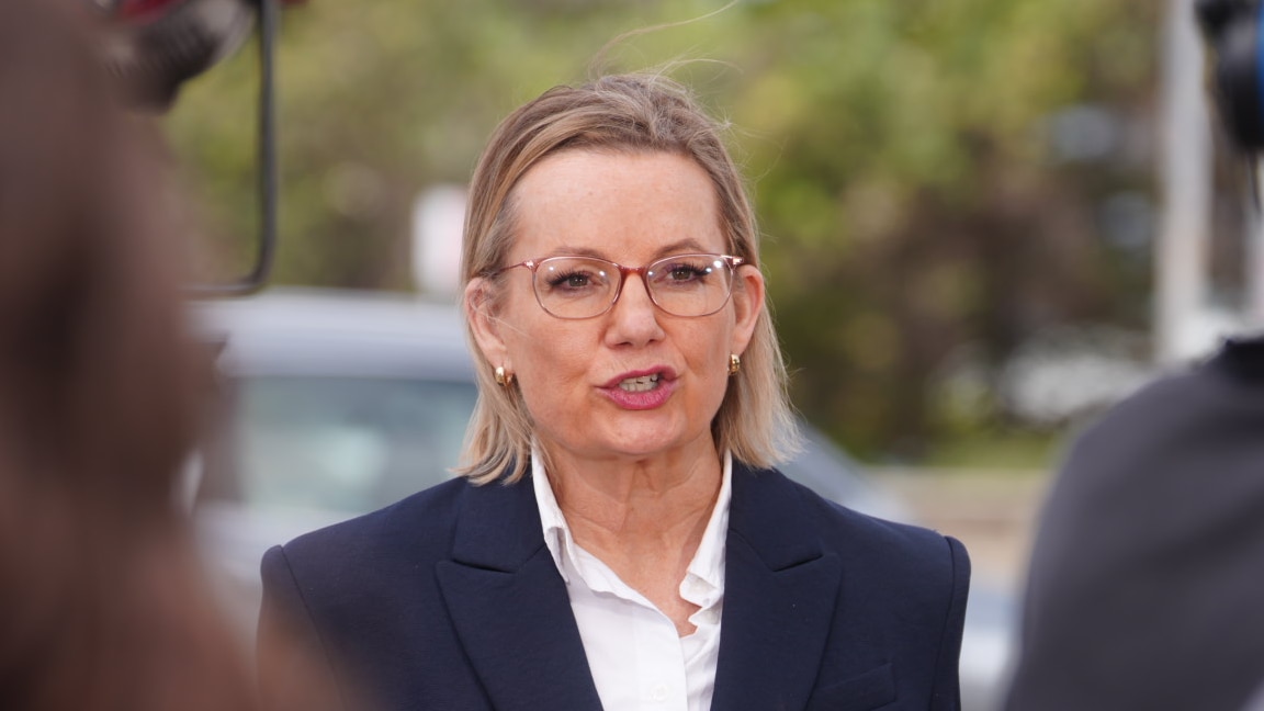 Sussan Ley issues ultimatum to David Littleproud as she announces ...