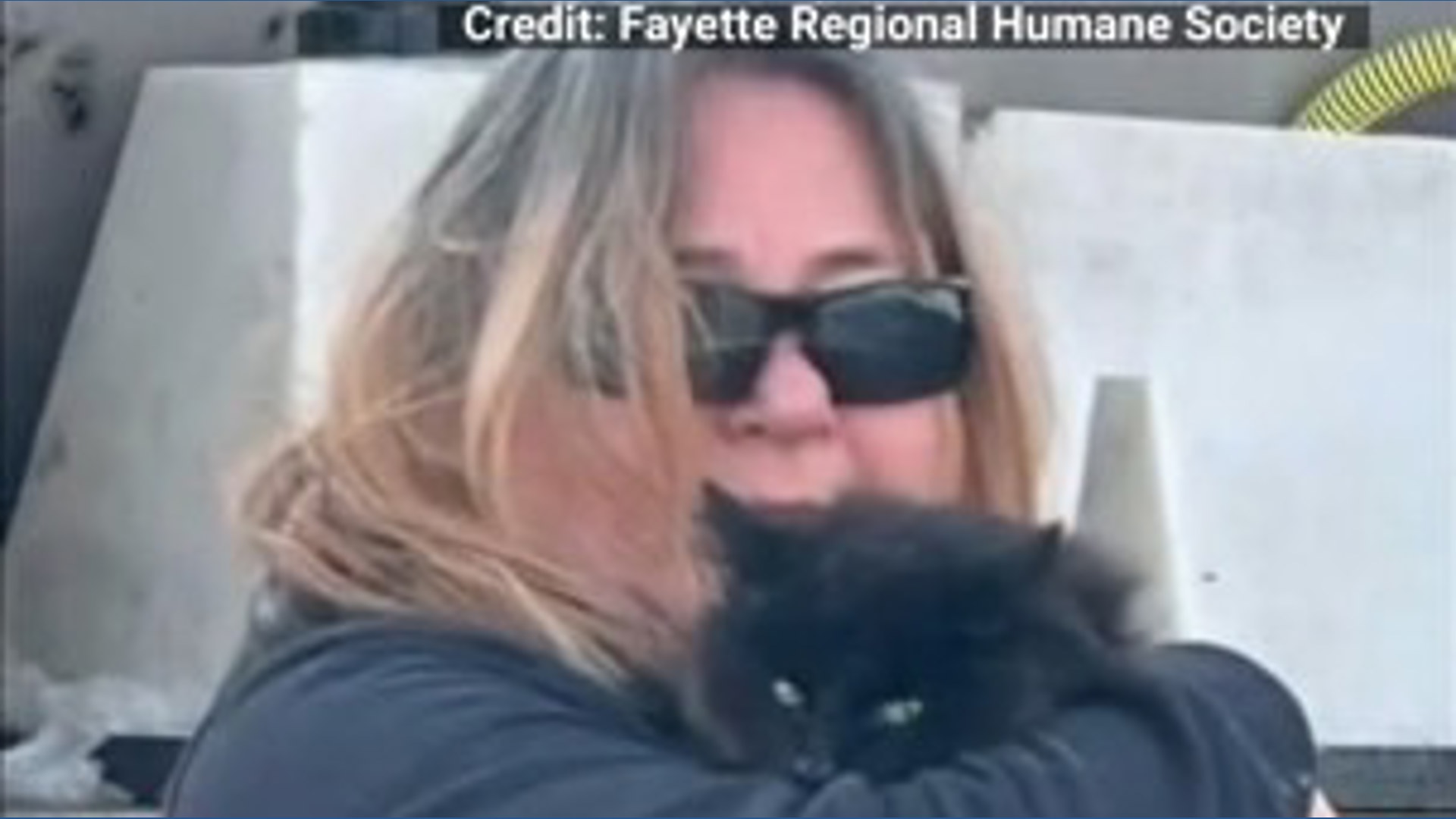 ODOT plow driver saves 7-month-old kitten from snowdrift