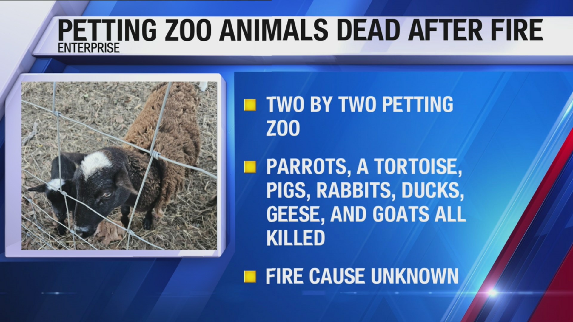Animals killed in fire at popular Coffee Co. petting zoo, family ...