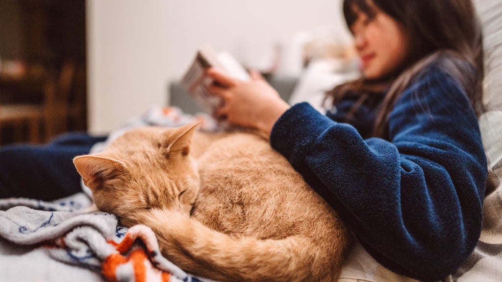 Gustavus Adolphus College to be first pet-friendly campus in Minnesota