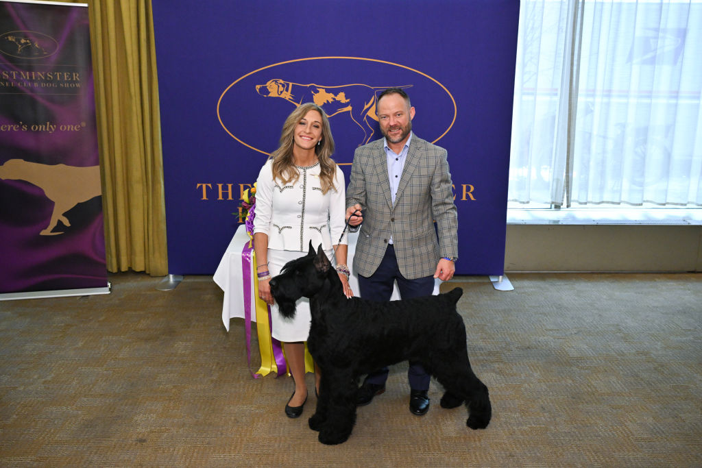 2026 Westminster Dog Show: Schedule, how to watch, dates, TV, streaming
