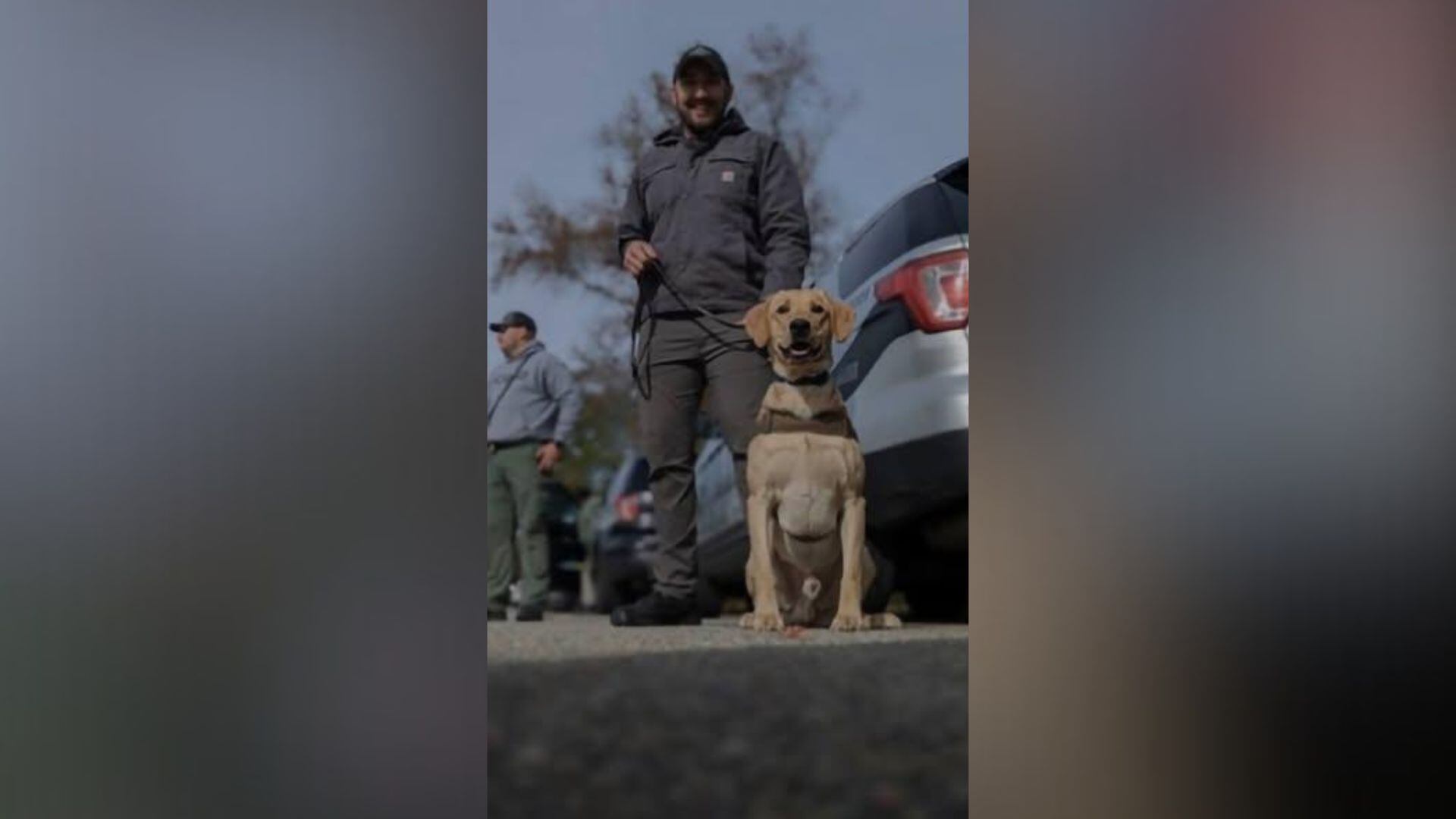 K9 locates 12-year-old missing during freezing weather in western NC