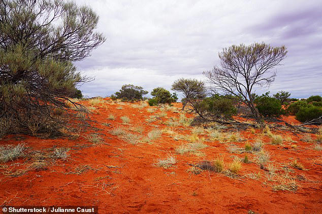 Australia sizzles as outback towns hit nearly 50C in record-shattering ...