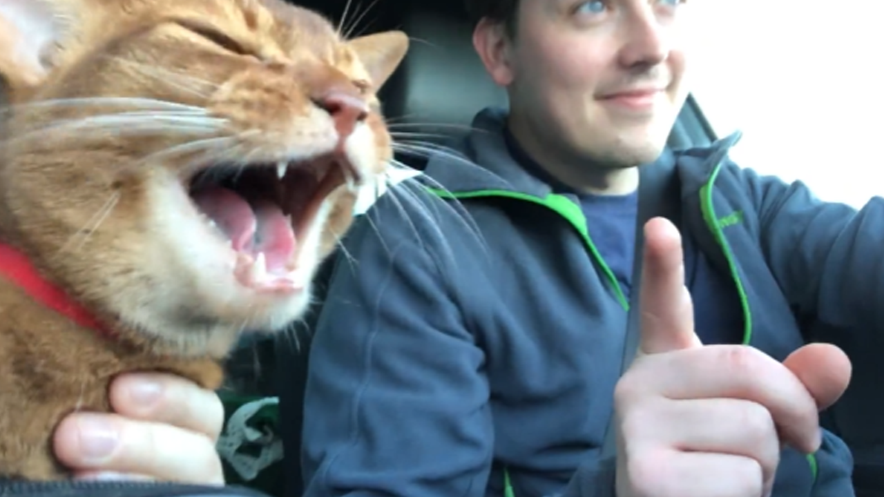 Cat joins in singing fun