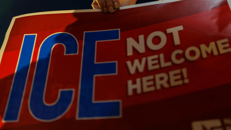 Trump-era ICE agents targeted for 'immorality' by Dem trying to ...