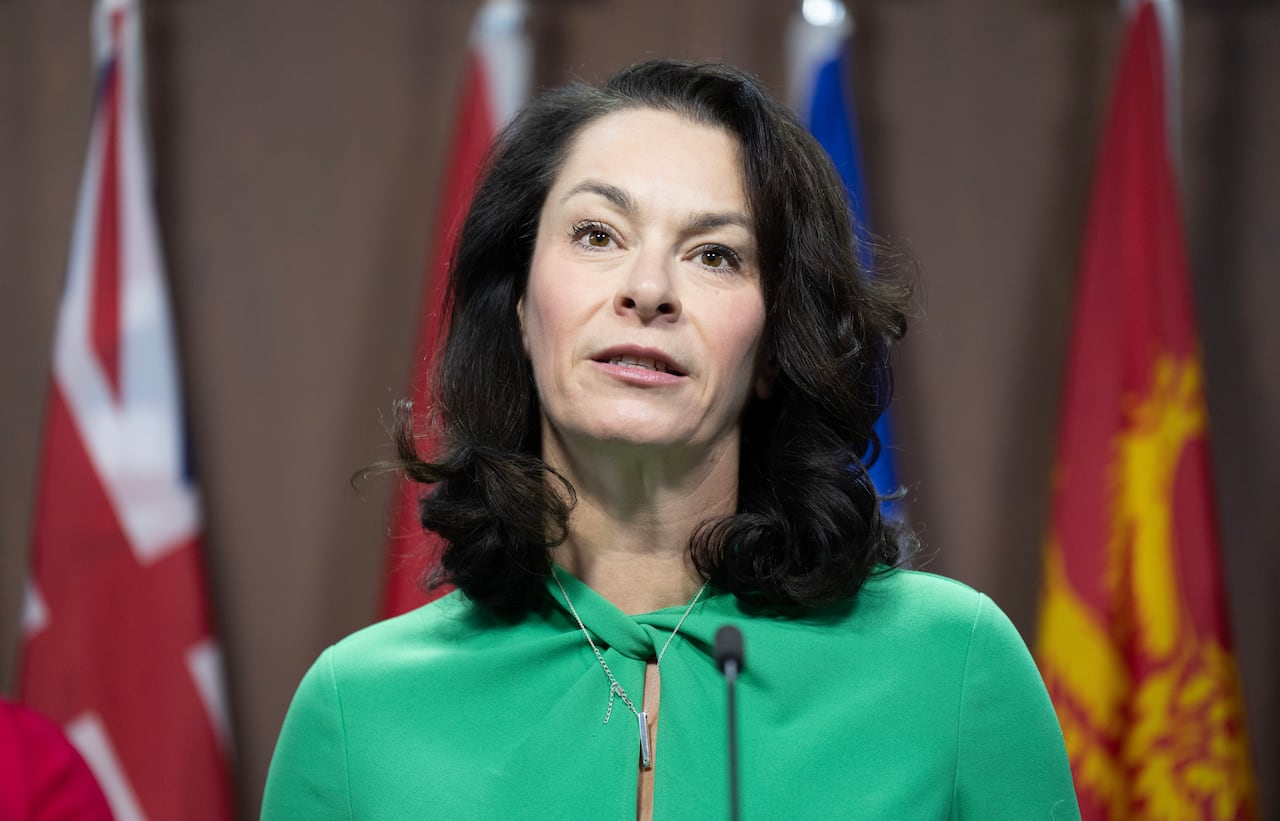 NDP MP calls on government to sanction Canadian companies doing ...