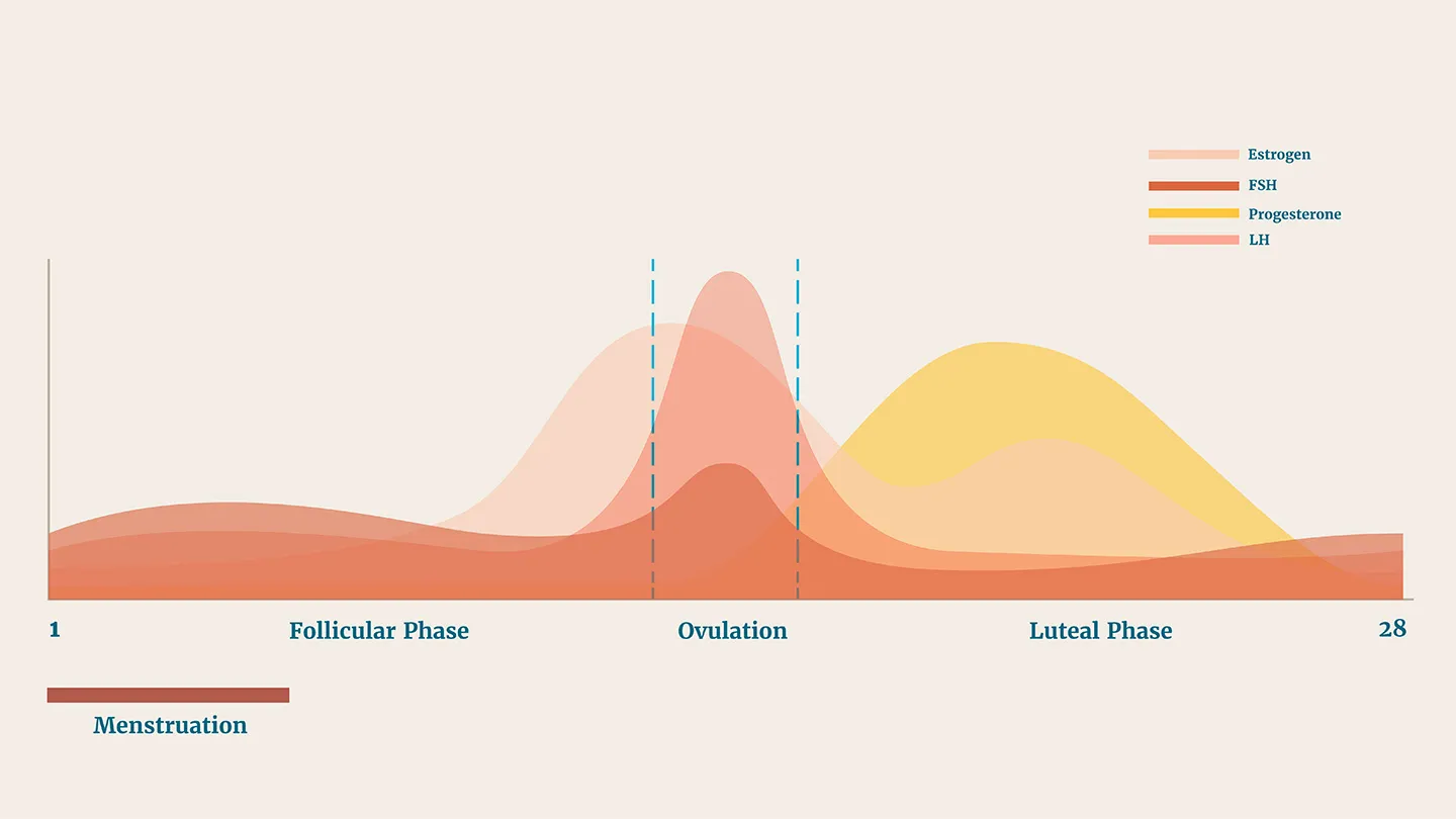 How the phases of menstruation affect your mood