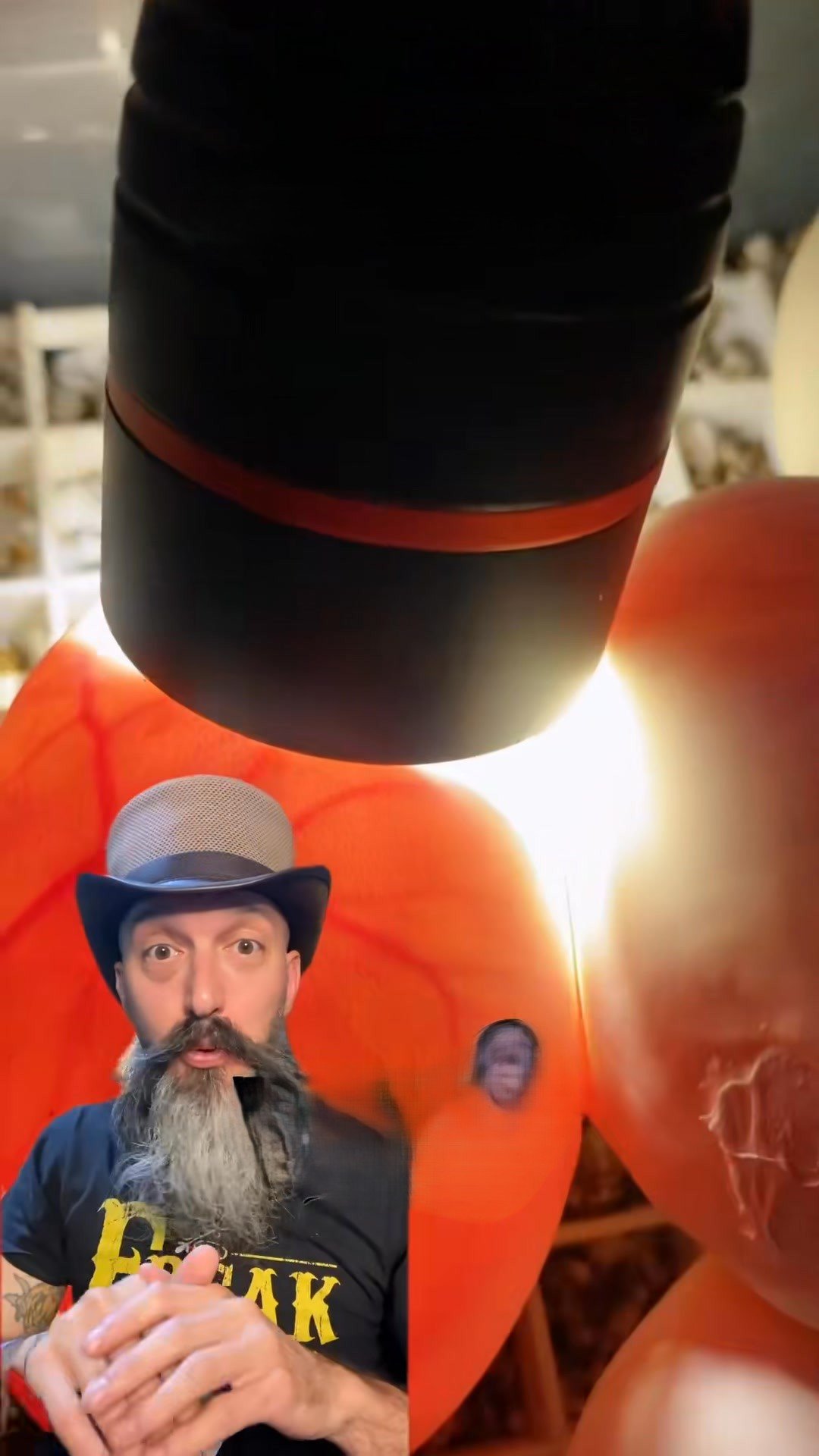 I hope we saved this egg!