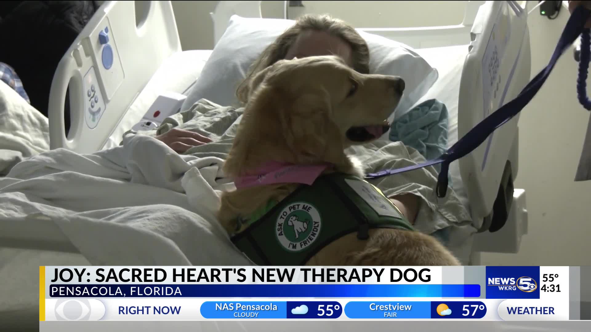 Pensacola Sacred Heart welcomes newest therapy dog, Joy