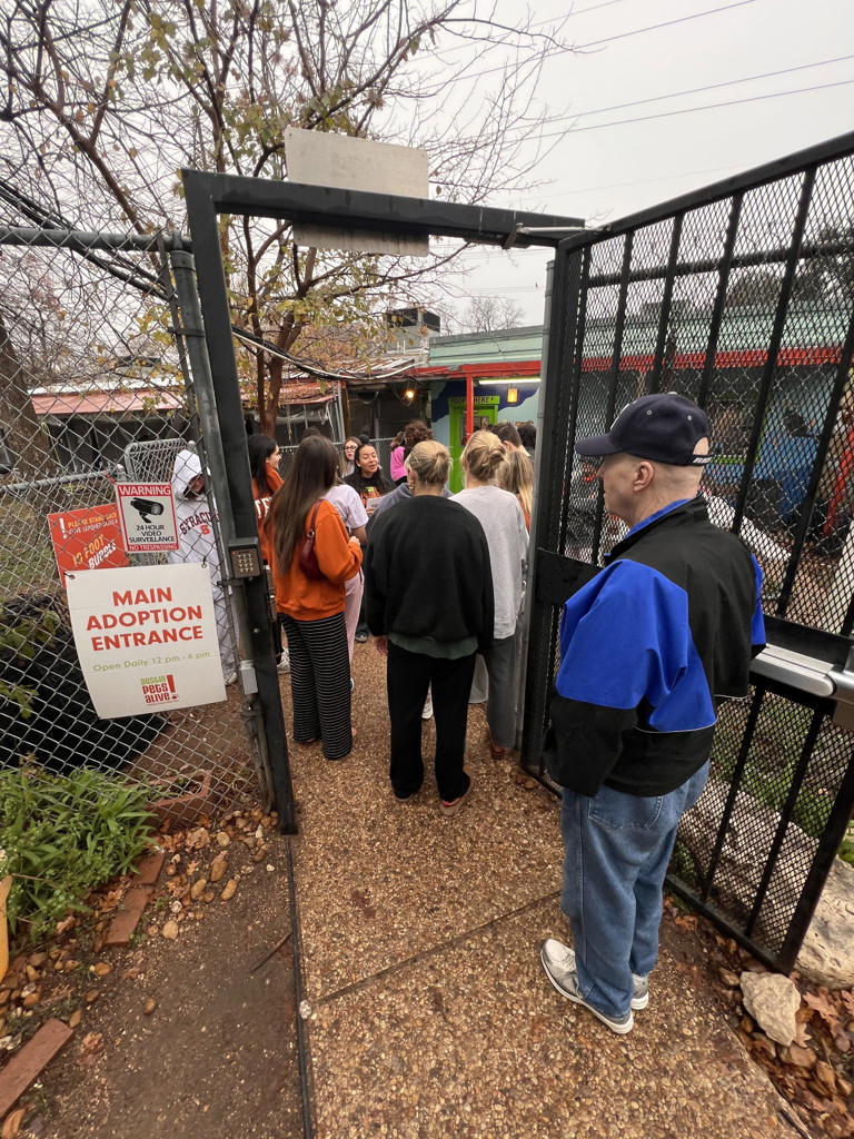 Pre-winter storm surge helped, but demand for fosters constant, Austin ...