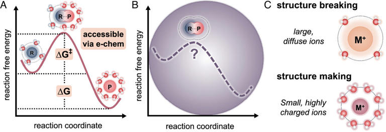 RNA droplets may have accelerated prebiotic Earth's development of ...
